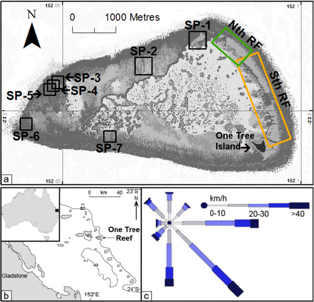 Remote Sensing Special Issue Remote Sensing For Understanding Coral Reef Dynamics And