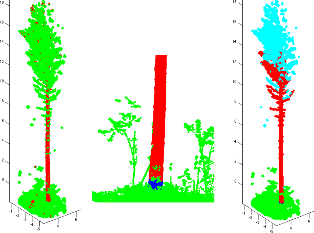 Remote Sensing | Free Full-Text | Fast Automatic Precision Tree Models from Terrestrial Laser ...
