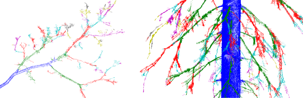 Remote Sensing | Free Full-Text | Fast Automatic Precision Tree Models ...