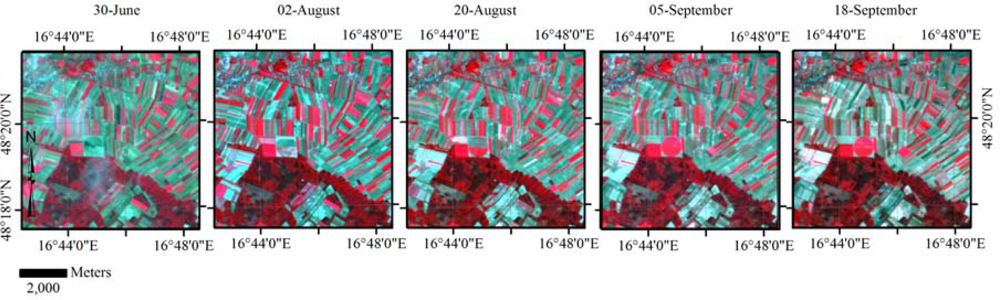 Remote Sensing | Free Full-Text | Estimation of Leaf Area Index Using DEIMOS-1 Data: Application ...