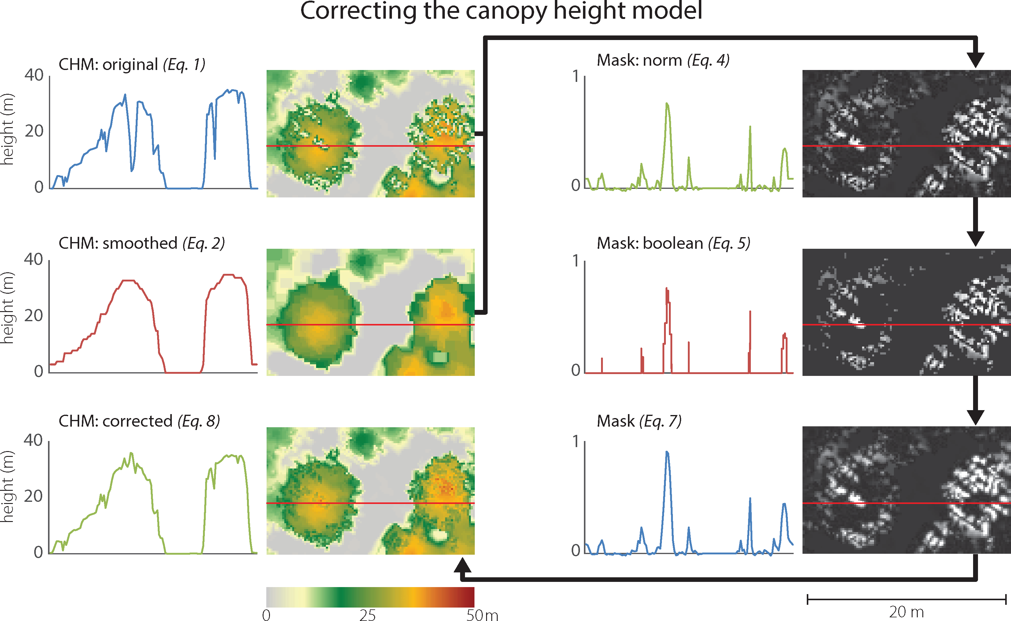 Remote Sensing | Free Full-Text | Delineating Individual Trees from Lidar Data: A Comparison of ...
