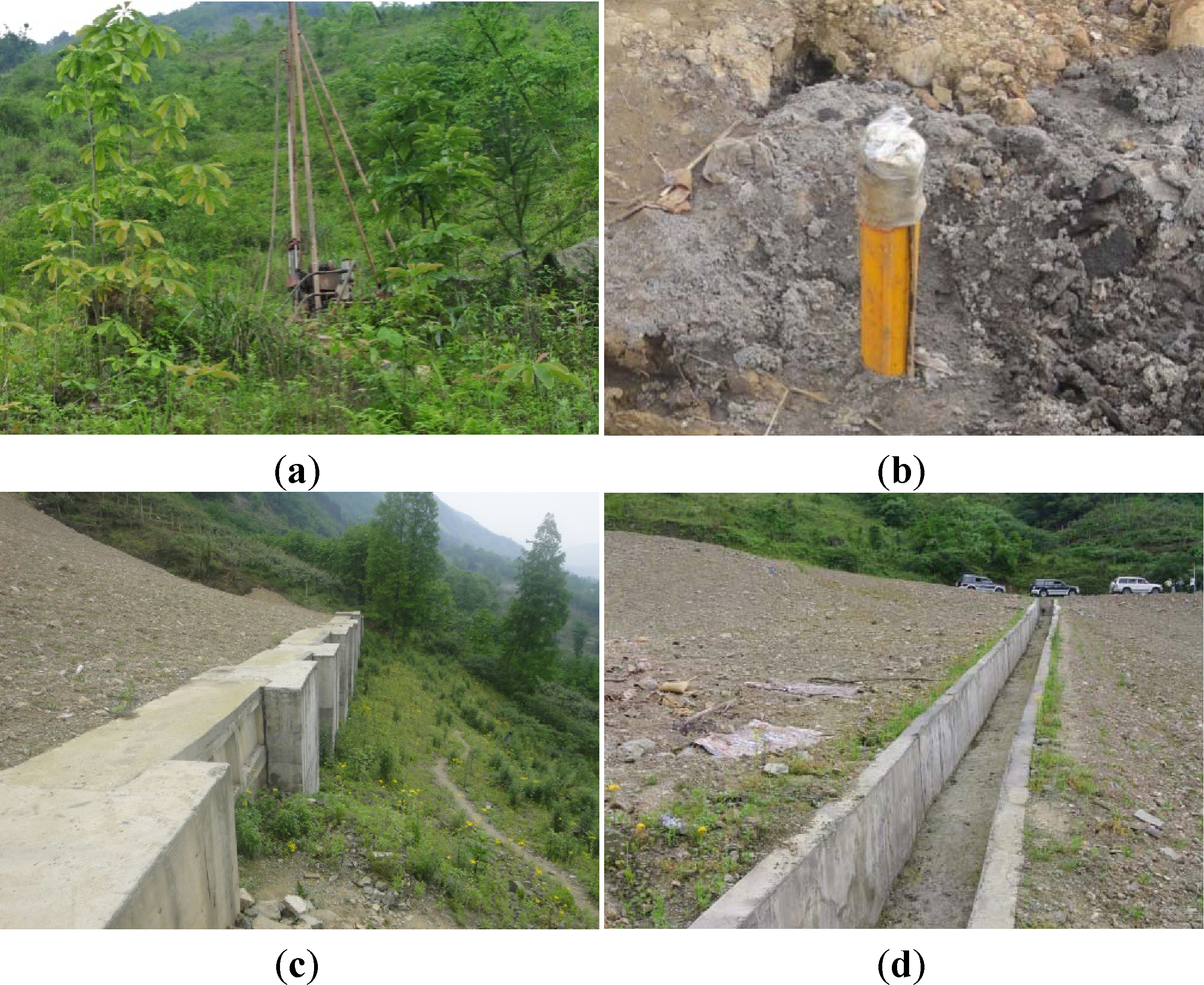 Landslide Investigation With Remote Sensing And Sensor Network From Susceptibility Mapping And