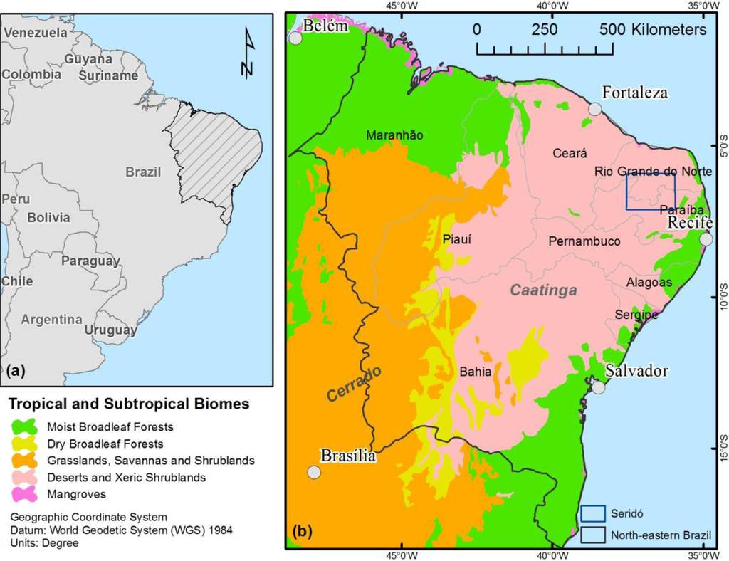 Vegetation Greenness in Northeastern Brazil and Its Relation to ENSO ...