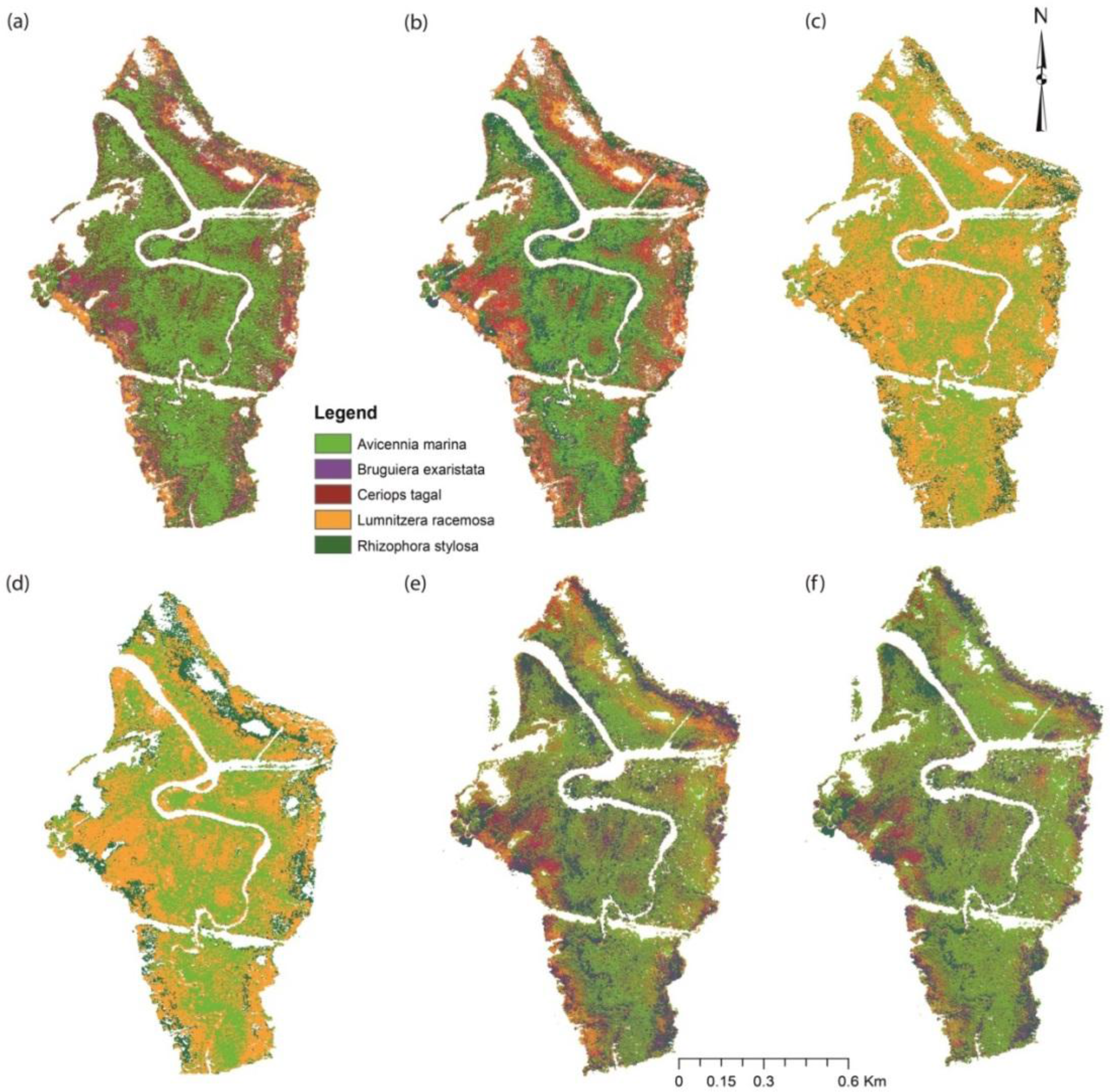 Remote Sensing | Free Full-Text | Mangrove Species Identification ...