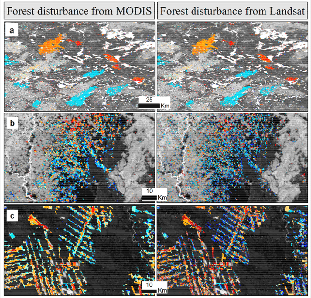 Remote Sensing | Free Full-Text | Annual Detection of Forest Cover Loss ...