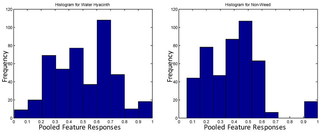 Feature Learning Based Approach for Weed Classification Using High Resolution Aerial Images from ...