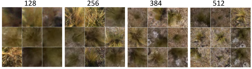 Feature Learning Based Approach for Weed Classification Using High Resolution Aerial Images from ...