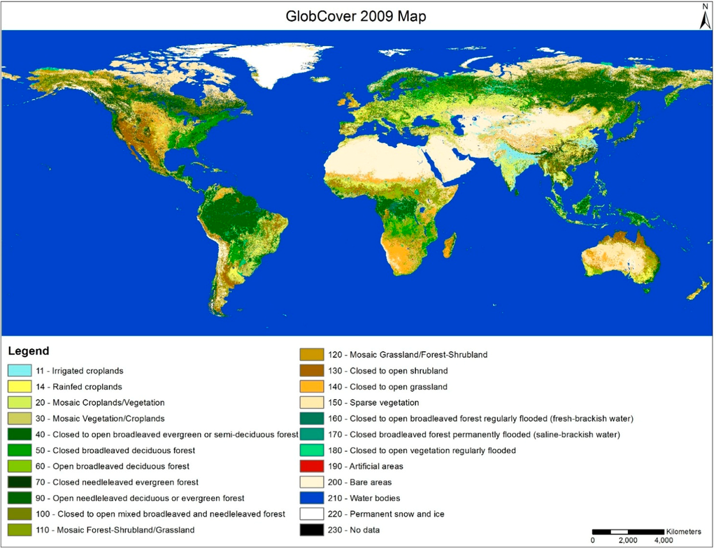 Global Land Cover Mapping: A Review and Uncertainty Analysis