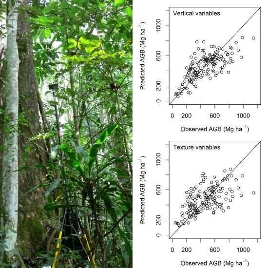 Remote Sensing | Free Full-Text | Modeling Aboveground Biomass in Dense ...