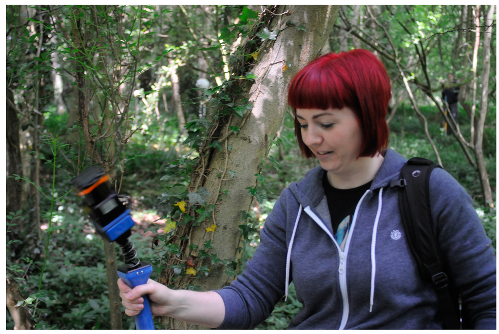 Assessing Handheld Mobile Laser Scanners for Forest Surveys