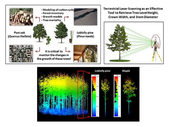 Remote Sensing | Free Full-Text | Terrestrial Laser Scanning as an ...
