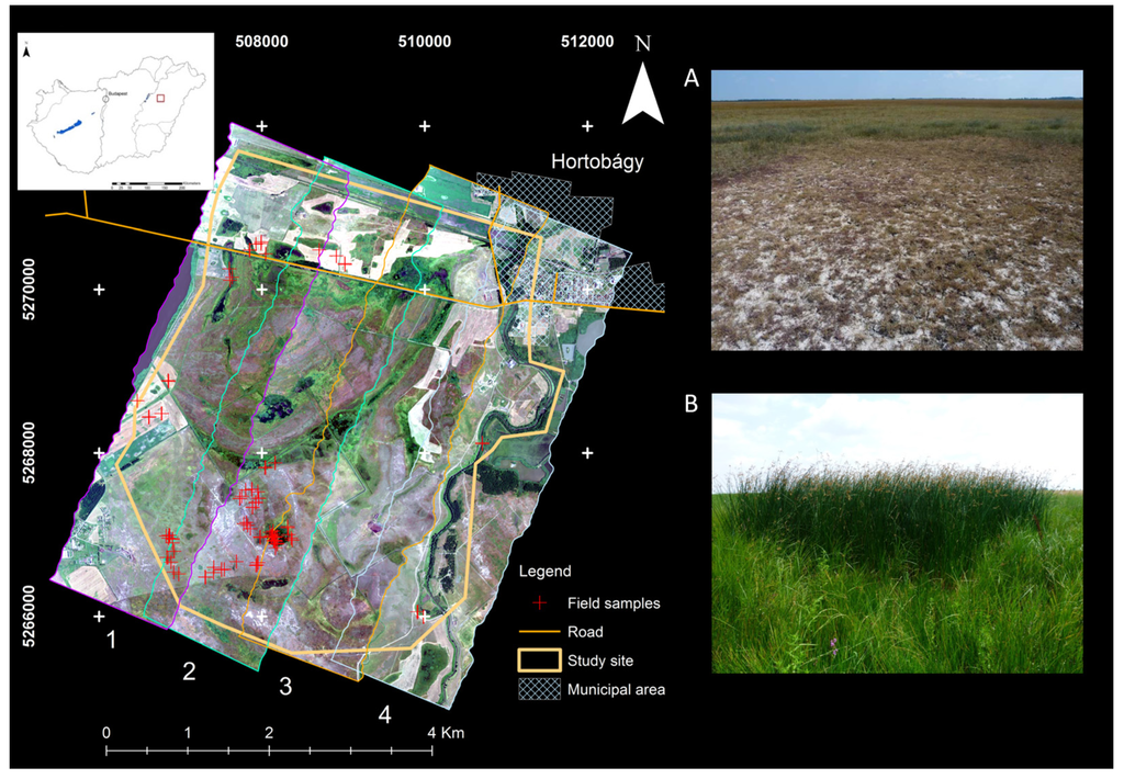 Remote Sensing | Free Full-Text | Classification of Herbaceous ...