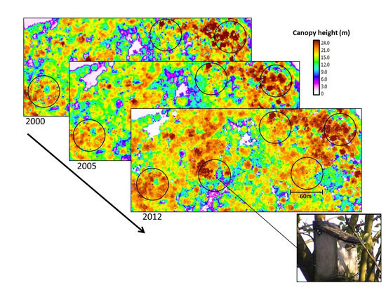 Remote Sensing | Free Full-Text | Airborne Lidar for Woodland Habitat ...