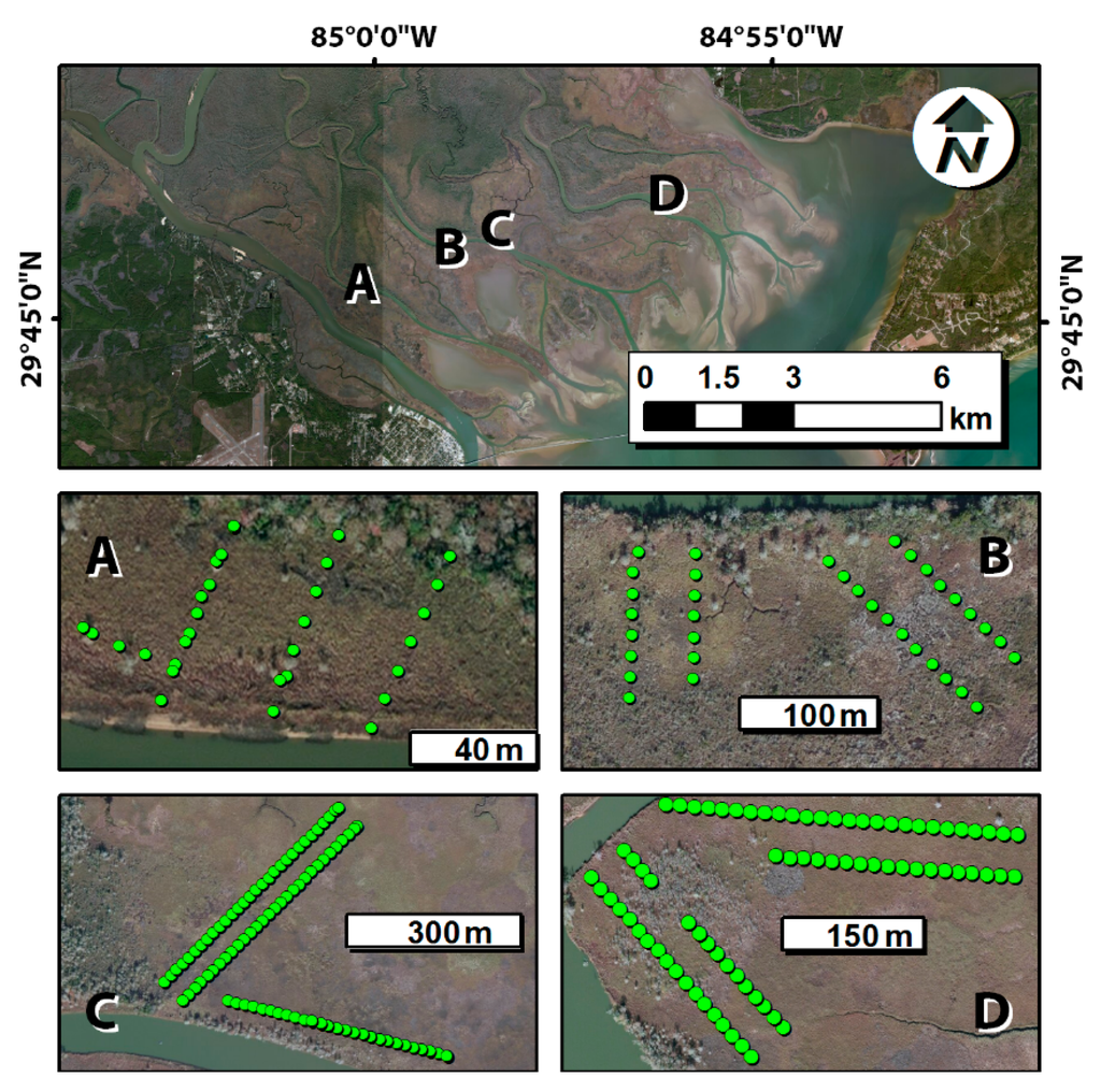 Adjusting Lidar-Derived Digital Terrain Models in Coastal Marshes Based ...