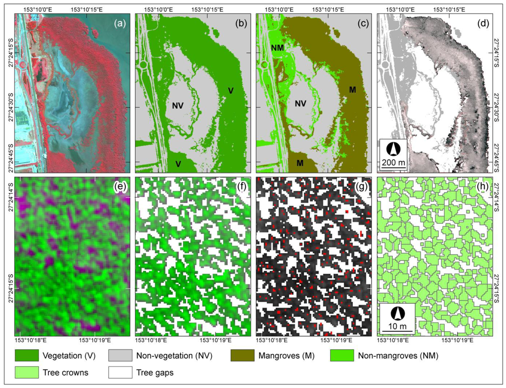 Remote Sensing Special Issue Remote Sensing Of Mangroves Observation And Monitoring