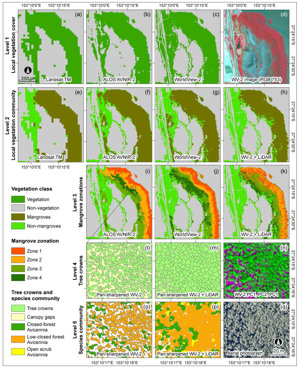 Remote Sensing | Special Issue : Remote Sensing of Mangroves: Observation and Monitoring