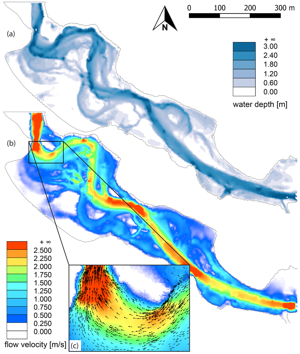 Topo-Bathymetric LiDAR for Monitoring River Morphodynamics and Instream Habitats—A Case Study at ...