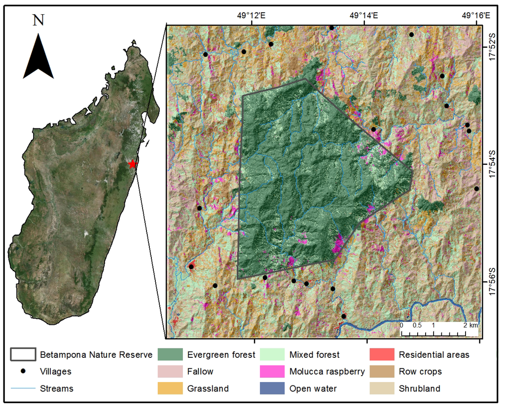 Remote Sensing Based Spatial Statistics to Document Tropical Rainforest ...
