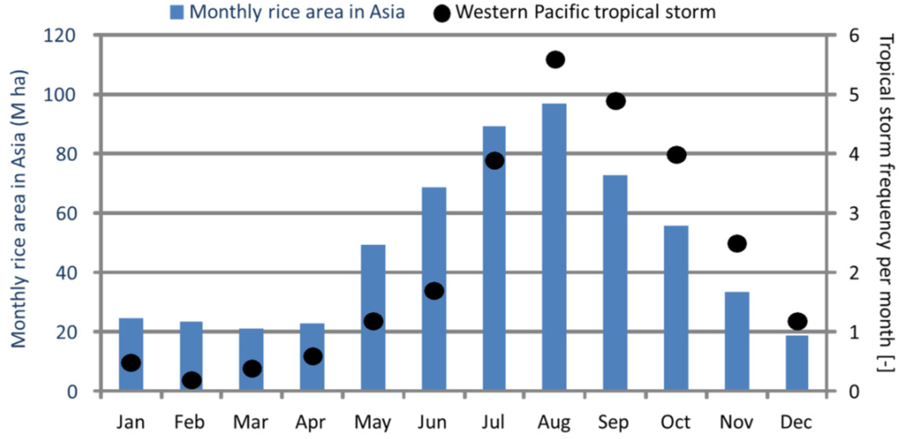 Typhoon Haiyan Statistics