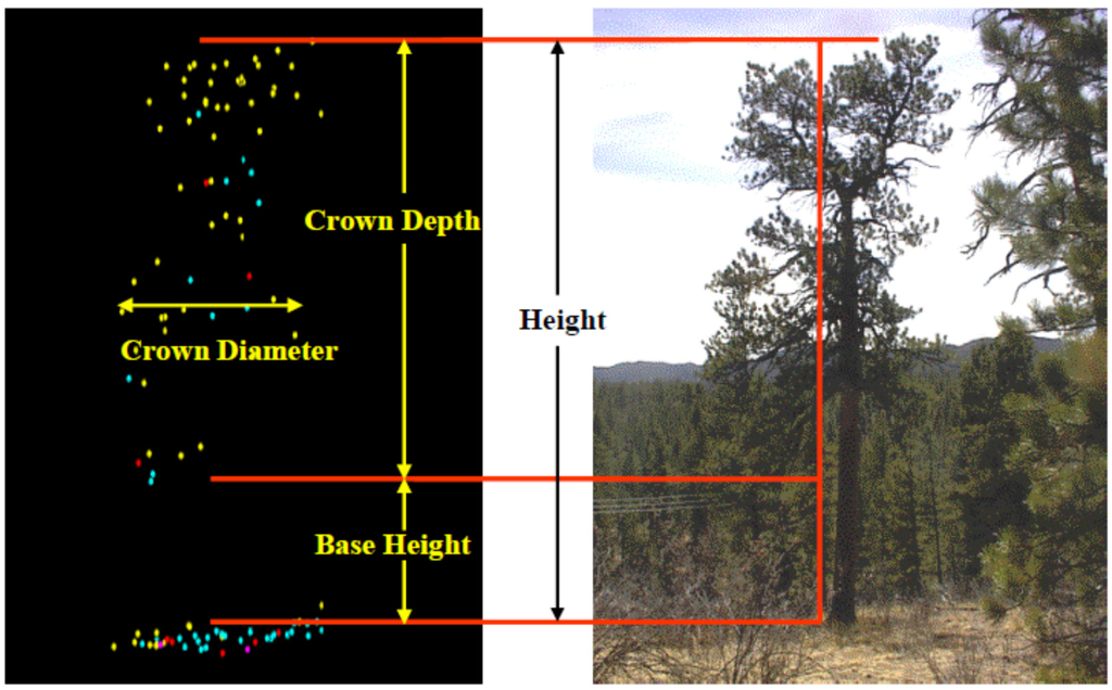 Remote Sensing | Free Full-Text | Individual Tree Segmentation from LiDAR Point Clouds for Urban ...