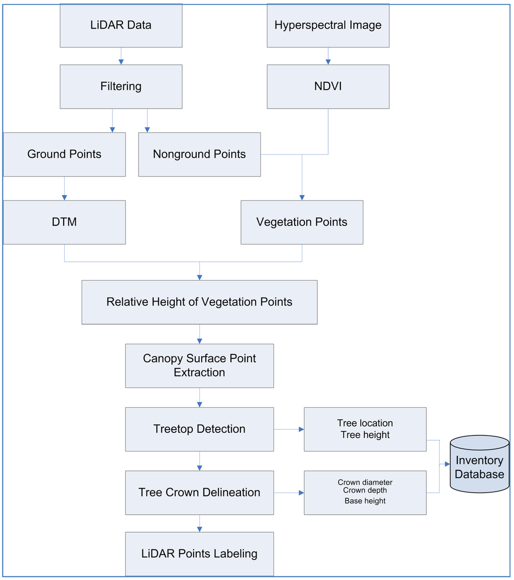 Remote Sensing | Free Full-Text | Individual Tree Segmentation from LiDAR Point Clouds for Urban ...