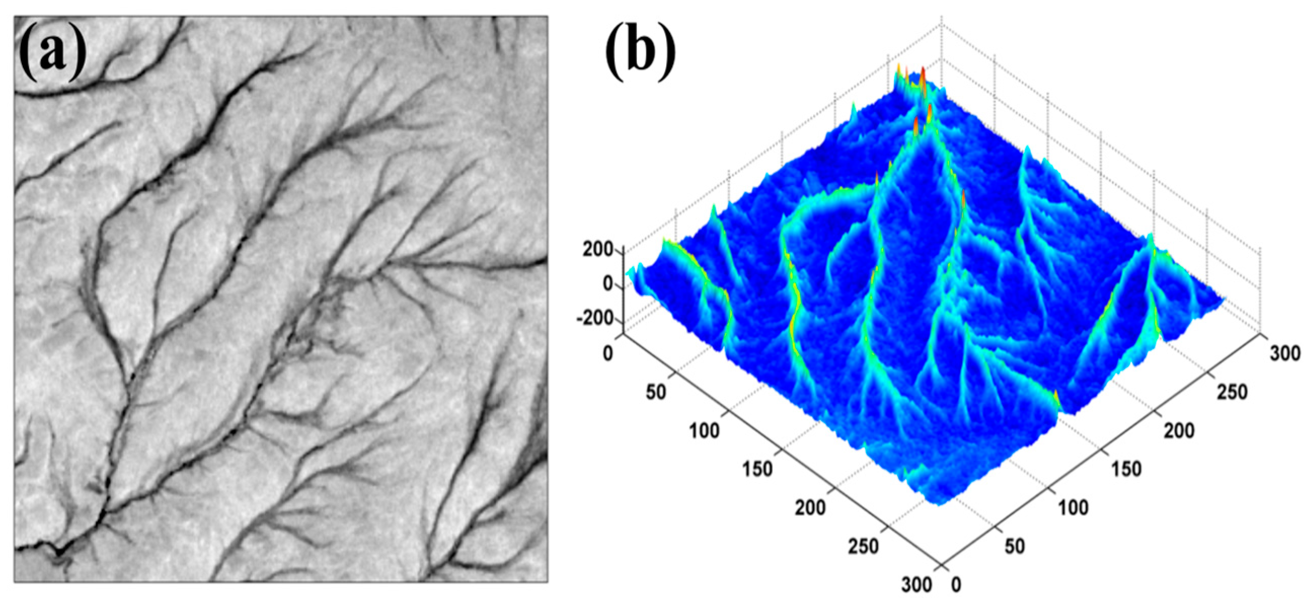 Remote Sensing | Free Full-Text | River Detection in Remotely Sensed ...