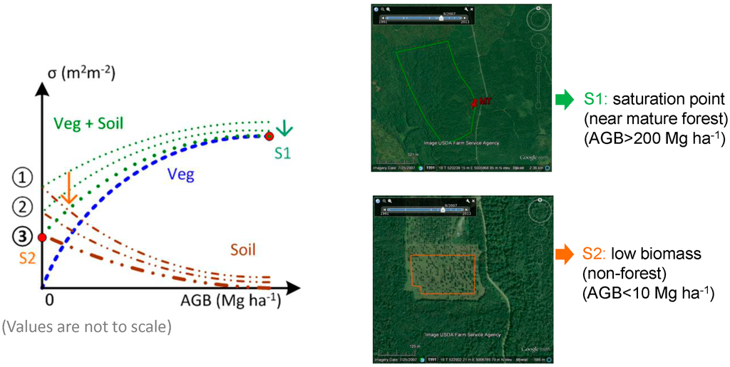 Remote Sensing | Special Issue : Carbon Cycle, Global Change, and Multi ...