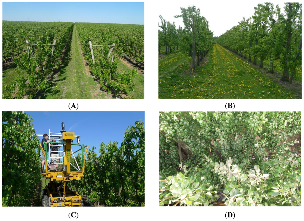 Remote Sensing | Special Issue : Recent Advances in Remote Sensing for ...