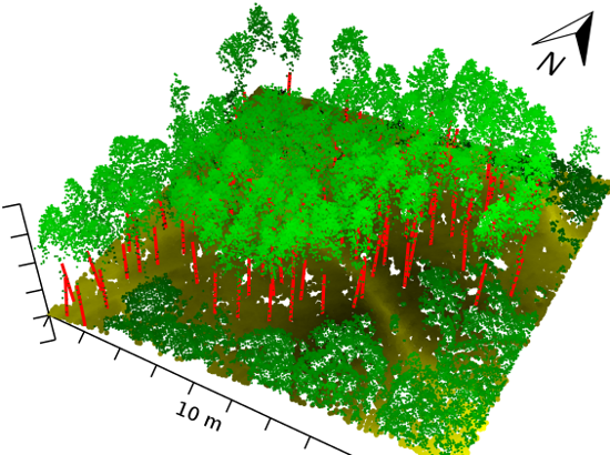 Remote Sensing | Free Full-Text | aTrunk—An ALS-Based Trunk Detection Algorithm