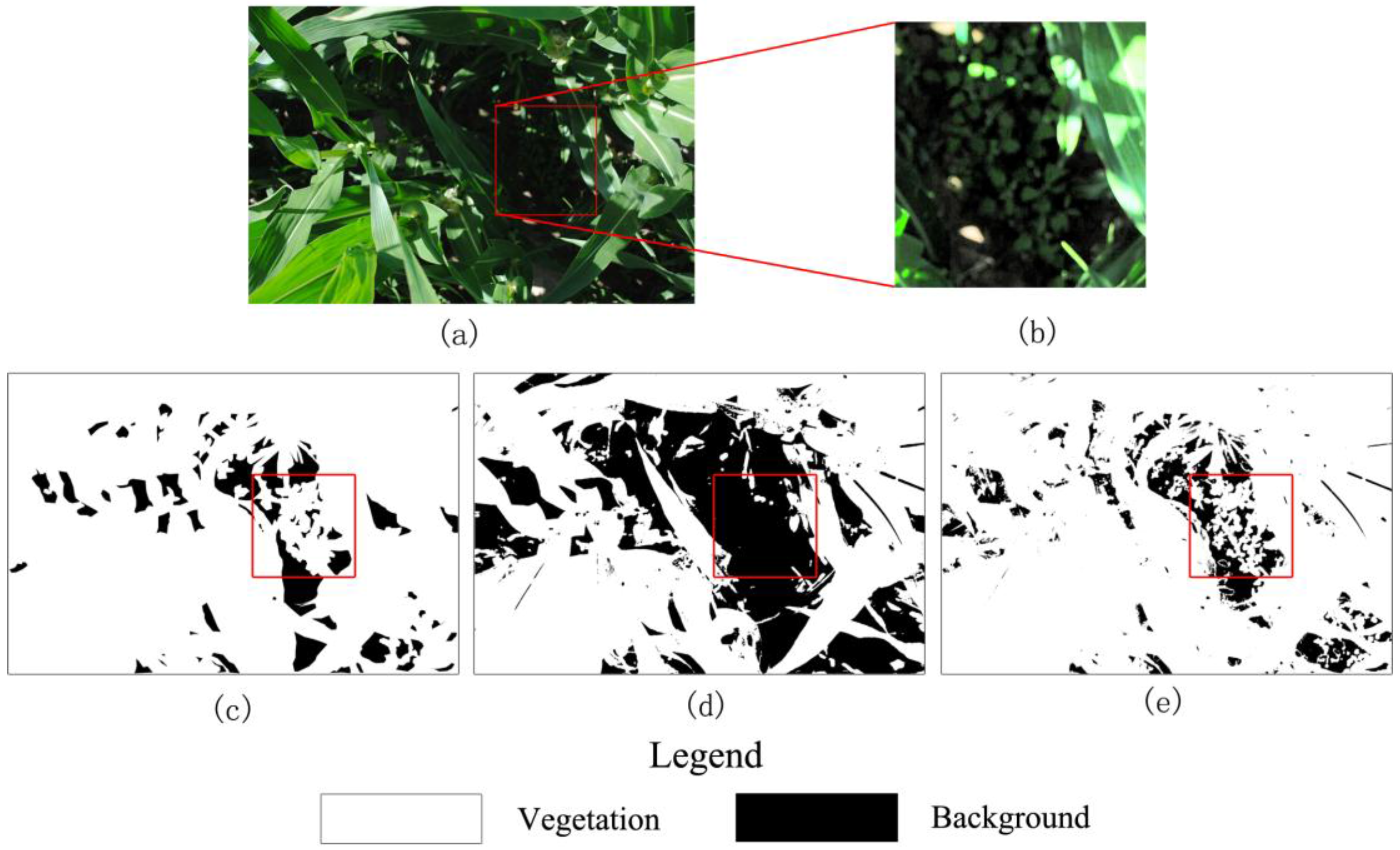 Extracting the Green Fractional Vegetation Cover from Digital Images ...