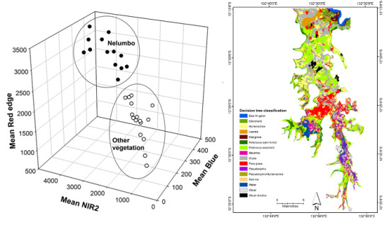 Remote Sensing | Free Full-Text | Mapping Aquatic Vegetation in a Tropical Wetland Using High ...
