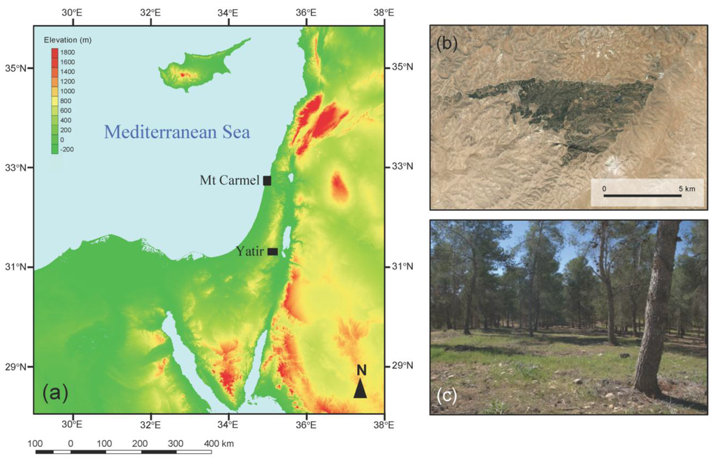 Remote Sensing | Free Full-Text | A Phenology-Based Method for ...
