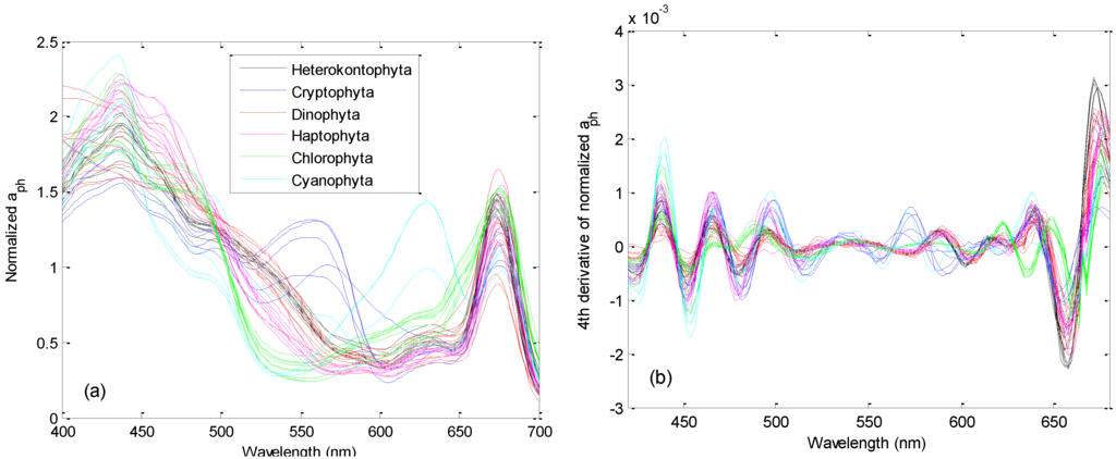Hyperspectral Differentiation of Phytoplankton Taxonomic Groups: A ...