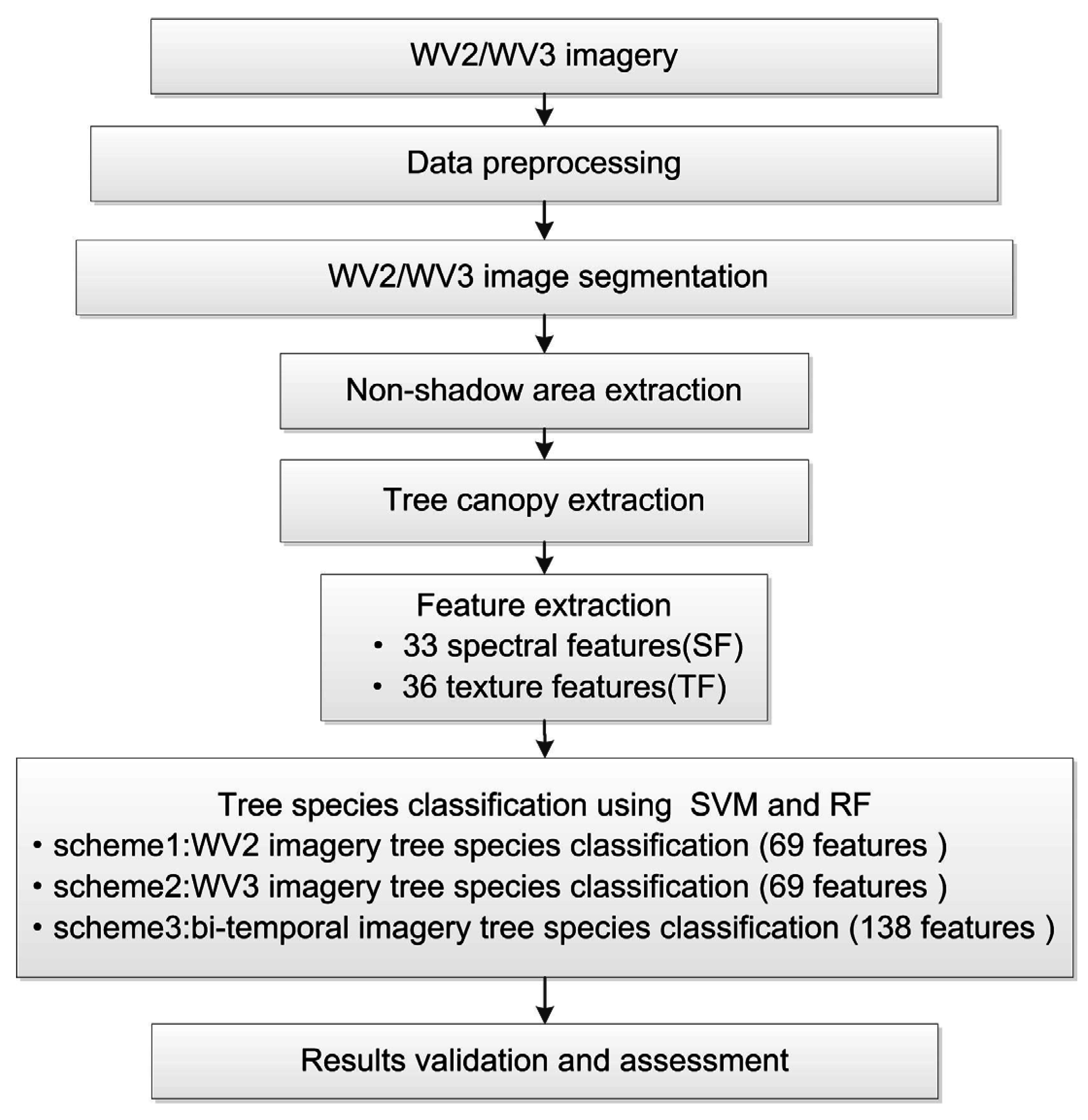 Object-Based Urban Tree Species Classification Using Bi-Temporal ...