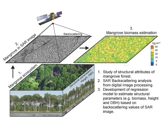 Remote Sensing | Free Full-Text | Radarsat-2 Backscattering for the Modeling of Biophysical ...