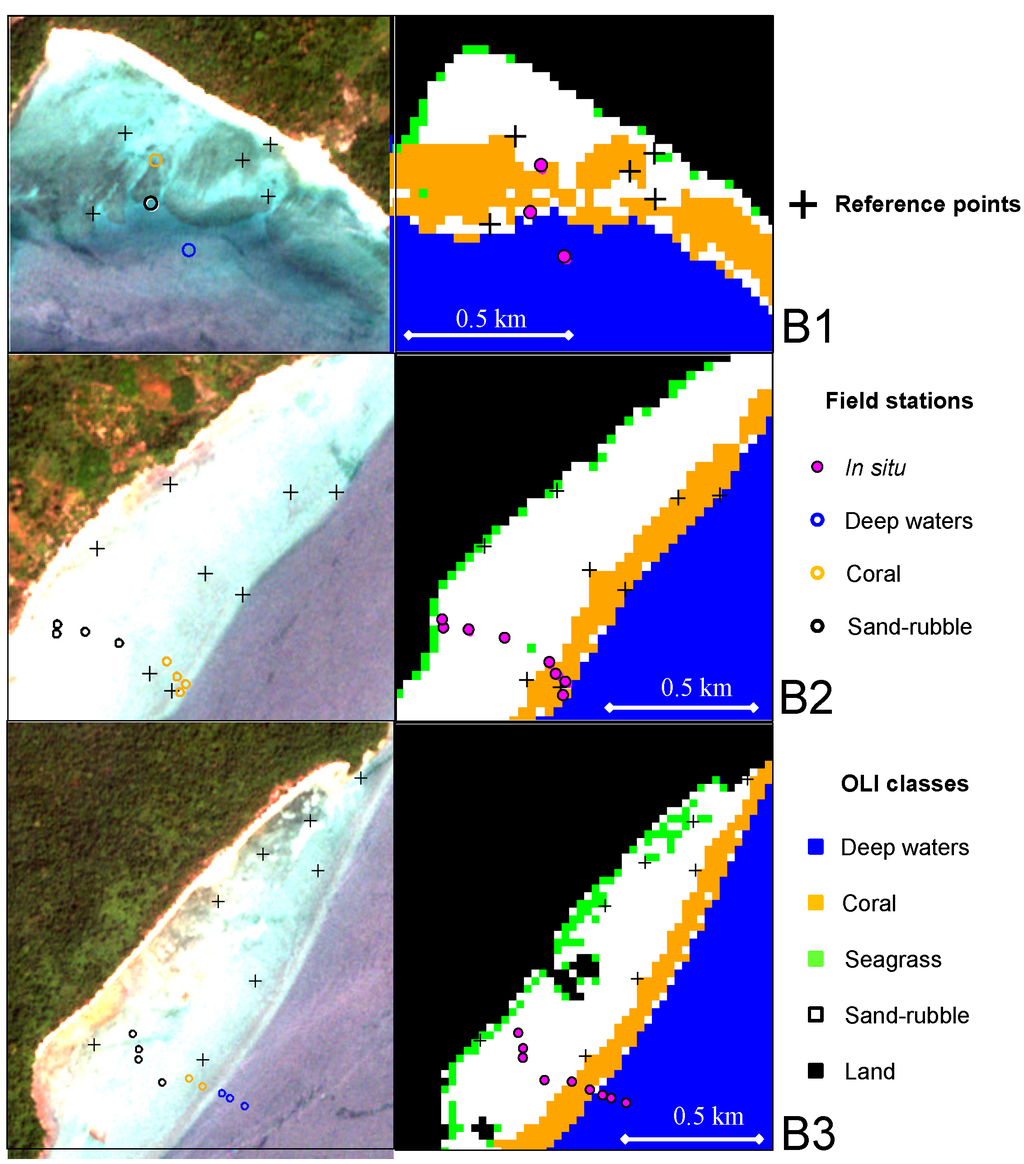 Remote Sensing | Special Issue : Remote Sensing for Coral Reef Monitoring