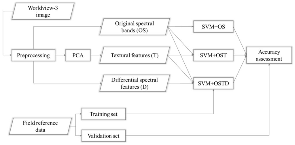 Textural–Spectral Feature-Based Species Classification of Mangroves in ...