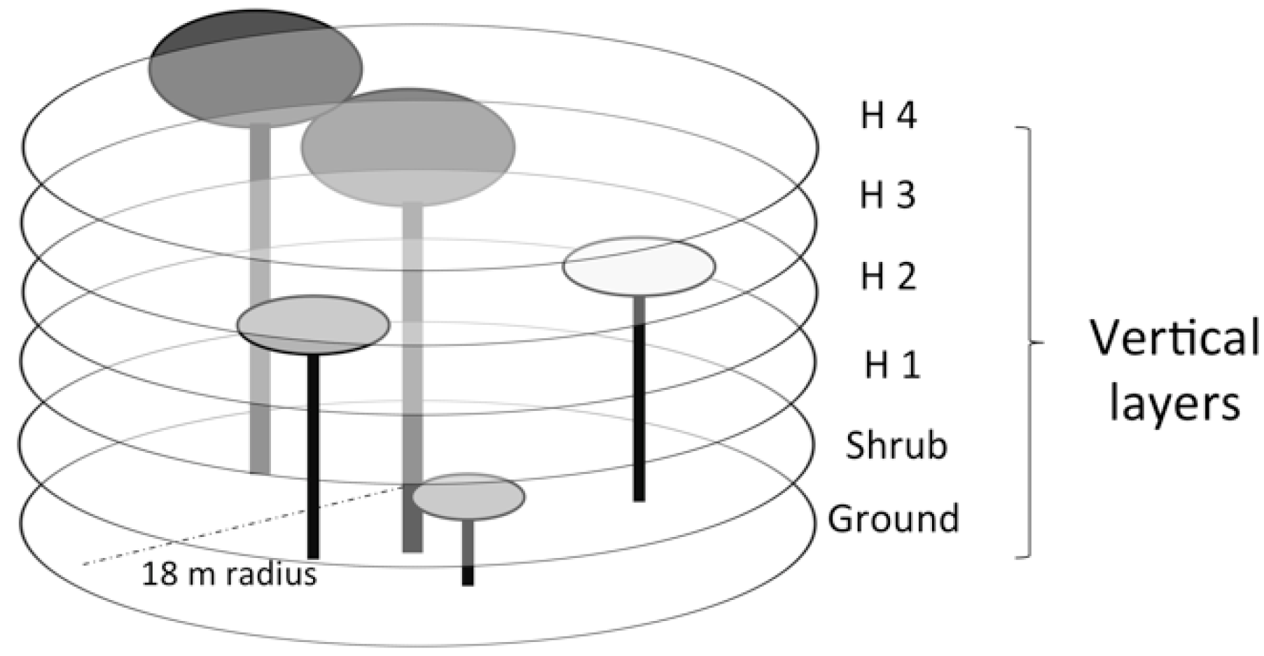 Determining Subcanopy Psidium cattleianum Invasion in Hawaiian Forests ...