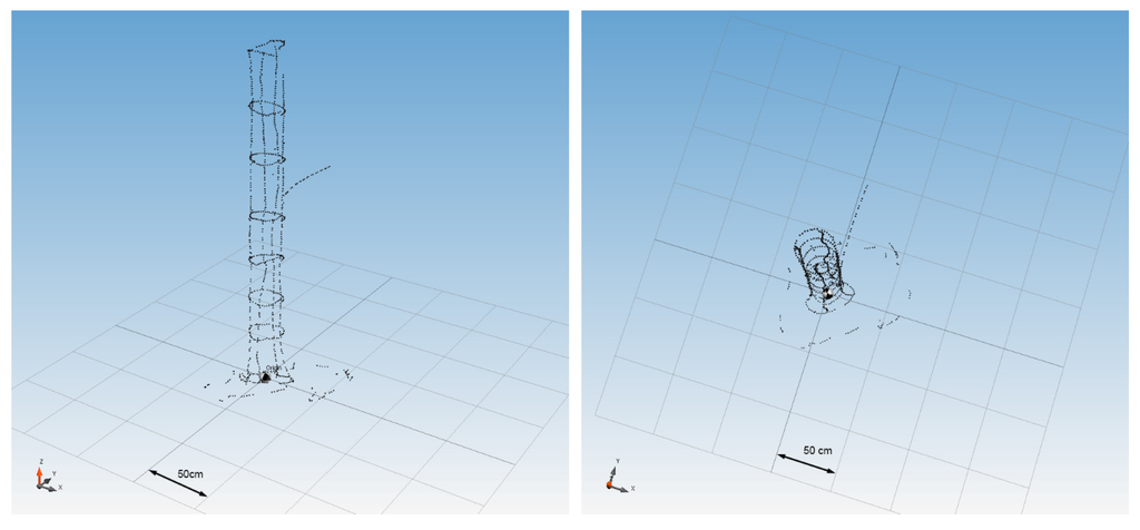 Accuracy of Reconstruction of the Tree Stem Surface Using Terrestrial ...