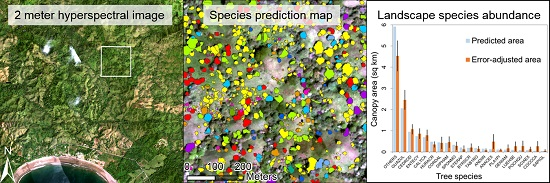Remote Sensing | Free Full-Text | Tree Species Abundance Predictions in ...