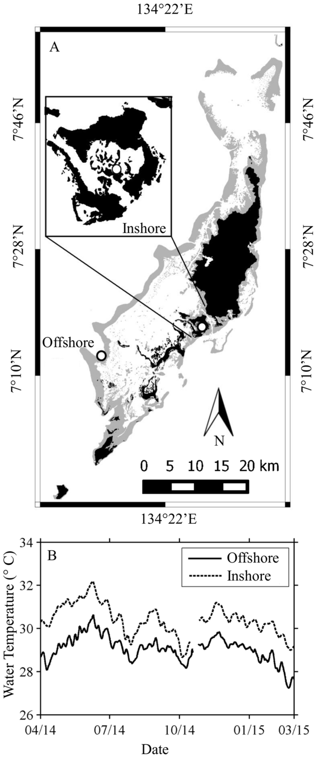 Spectral Reflectance of Palauan Reef-Building Coral with Different ...
