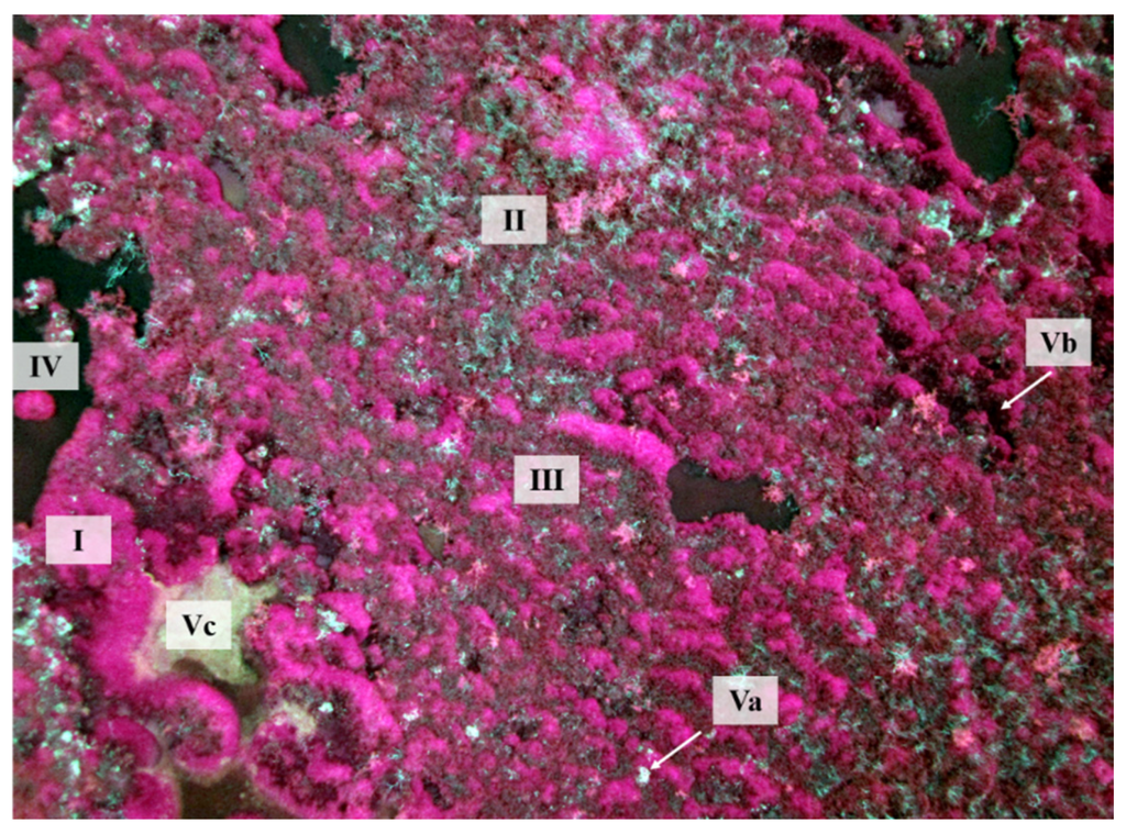Remote Sensing | Free Full-Text | High-Resolution Classification of ...