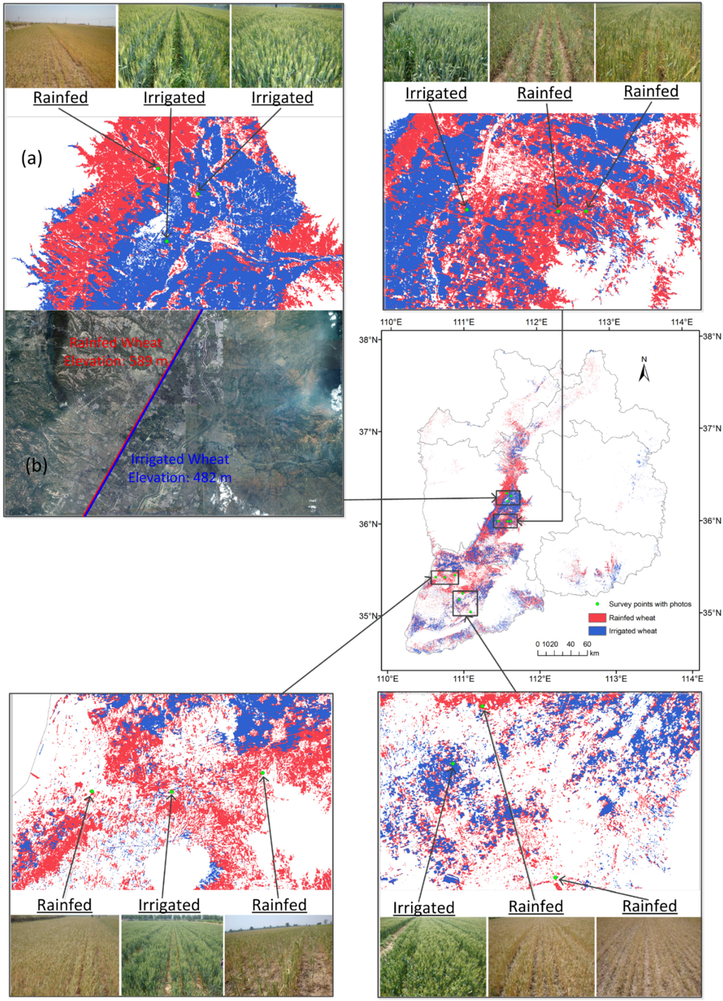 Mapping Irrigated and Rainfed Wheat Areas Using Multi-Temporal Satellite Data
