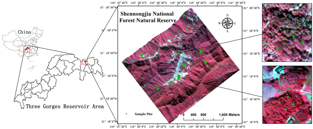 The Optimal Leaf Biochemical Selection for Mapping Species Diversity ...