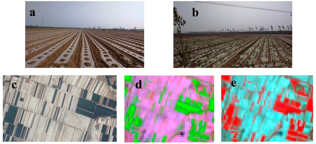 Remote Sensing | Free Full-Text | Monitoring Plastic-Mulched Farmland ...