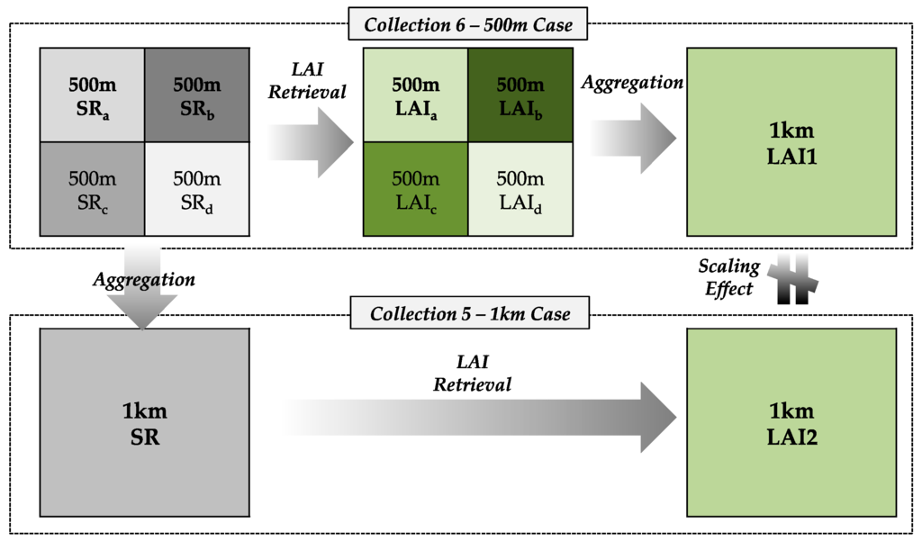 Evaluation of MODIS LAI/FPAR Product Collection 6. Part 1: Consistency and Improvements
