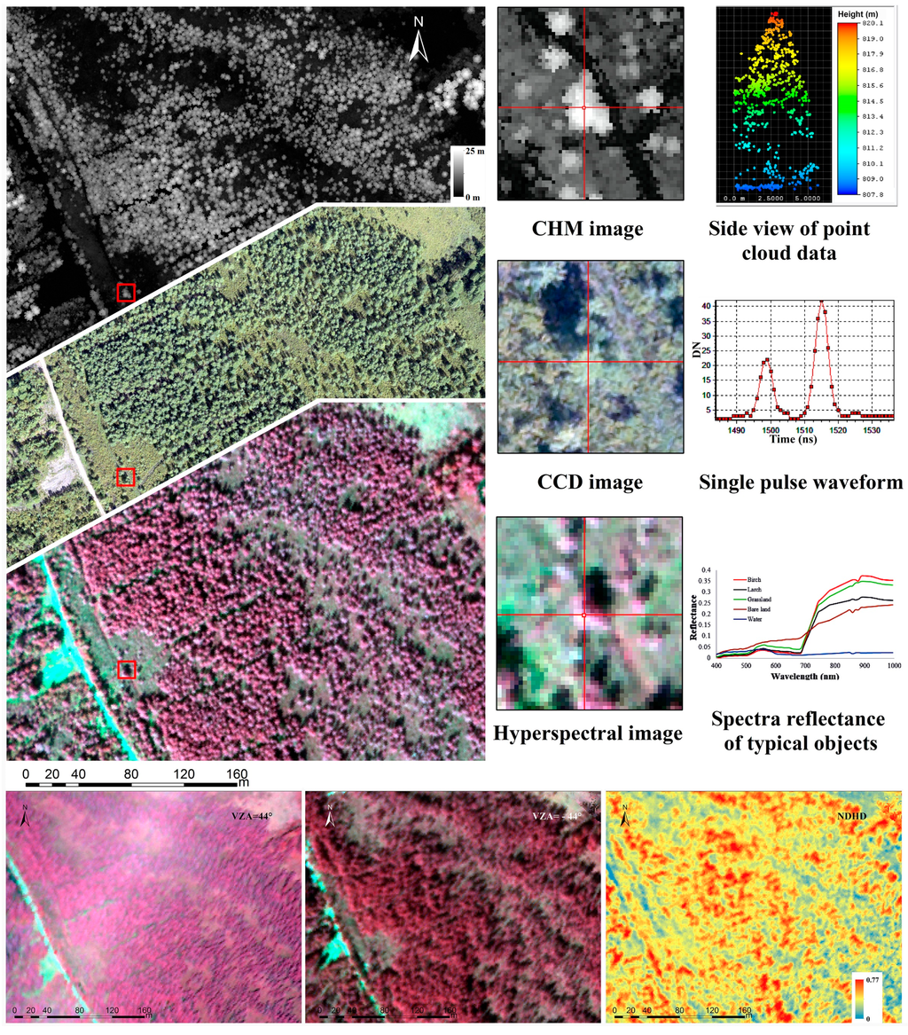 Remote Sensing | Free Full-Text | LiCHy: The CAF’s LiDAR, CCD and ...