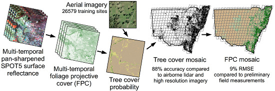 Remote Sensing | Free Full-Text | Large-Area, High-Resolution Tree ...