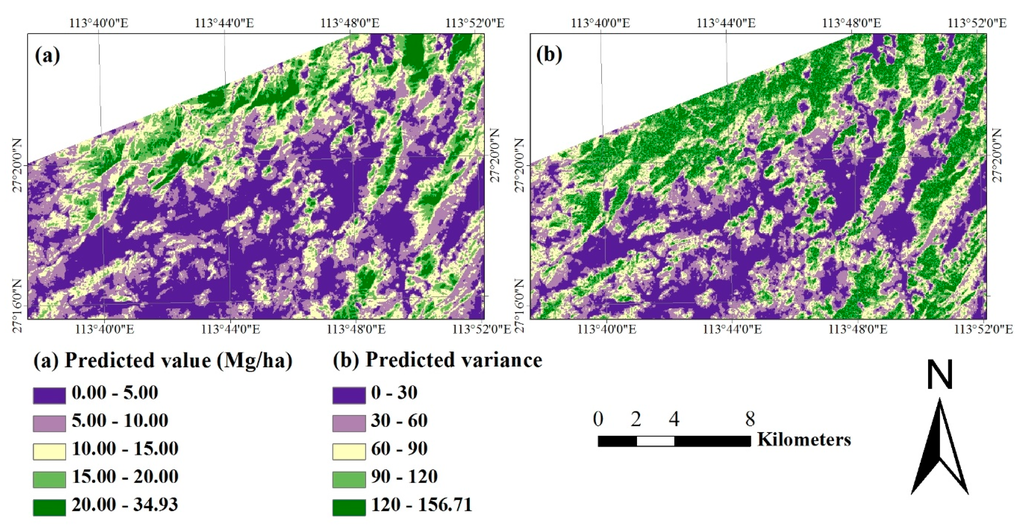 Multi-Resolution Mapping and Accuracy Assessment of Forest Carbon ...