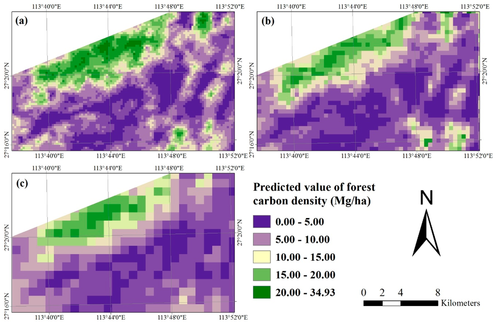 Multi-Resolution Mapping and Accuracy Assessment of Forest Carbon ...